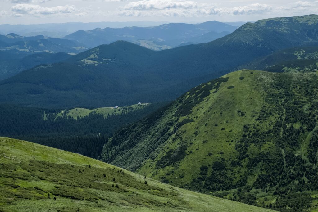 Conservation of highly valuable primeval and old-growth forests in ...